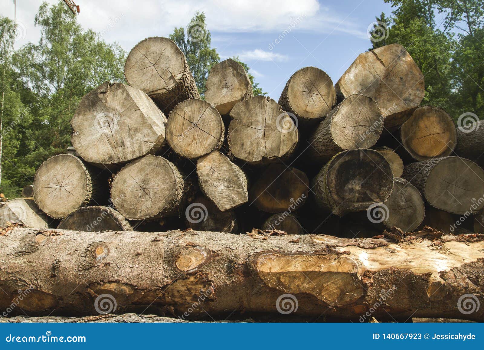 Pile of timber stock image. Image of arrangement, industrial - 140667923