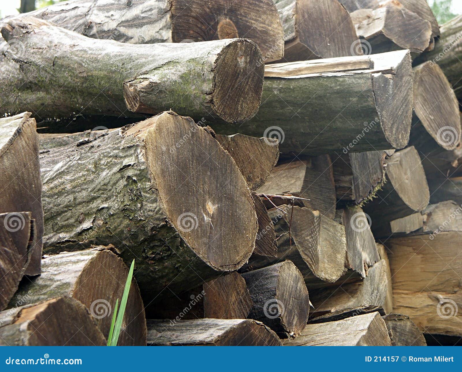 Pile of timber stock image. Image of order, store, trees - 214157