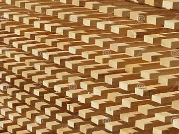 Pile of timber stock photo. Image of timbered, pattern - 2260048