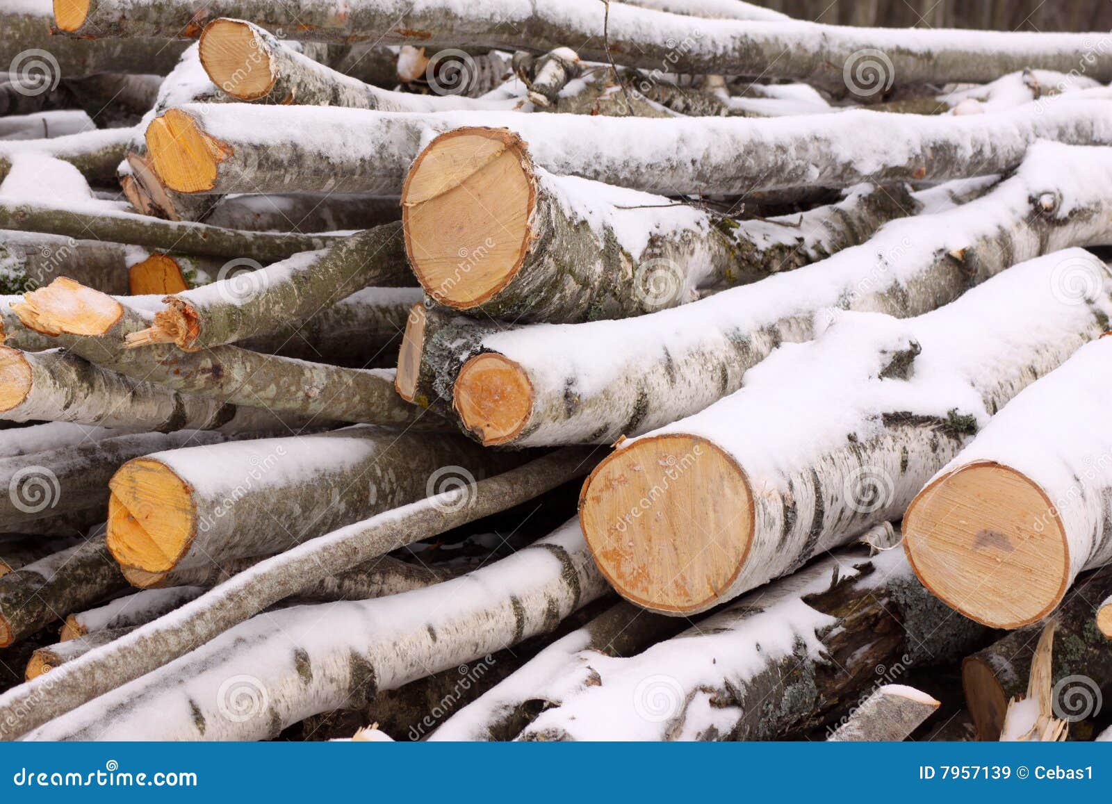 Pile of timber stock image. Image of snow, january, horizontal - 7957139