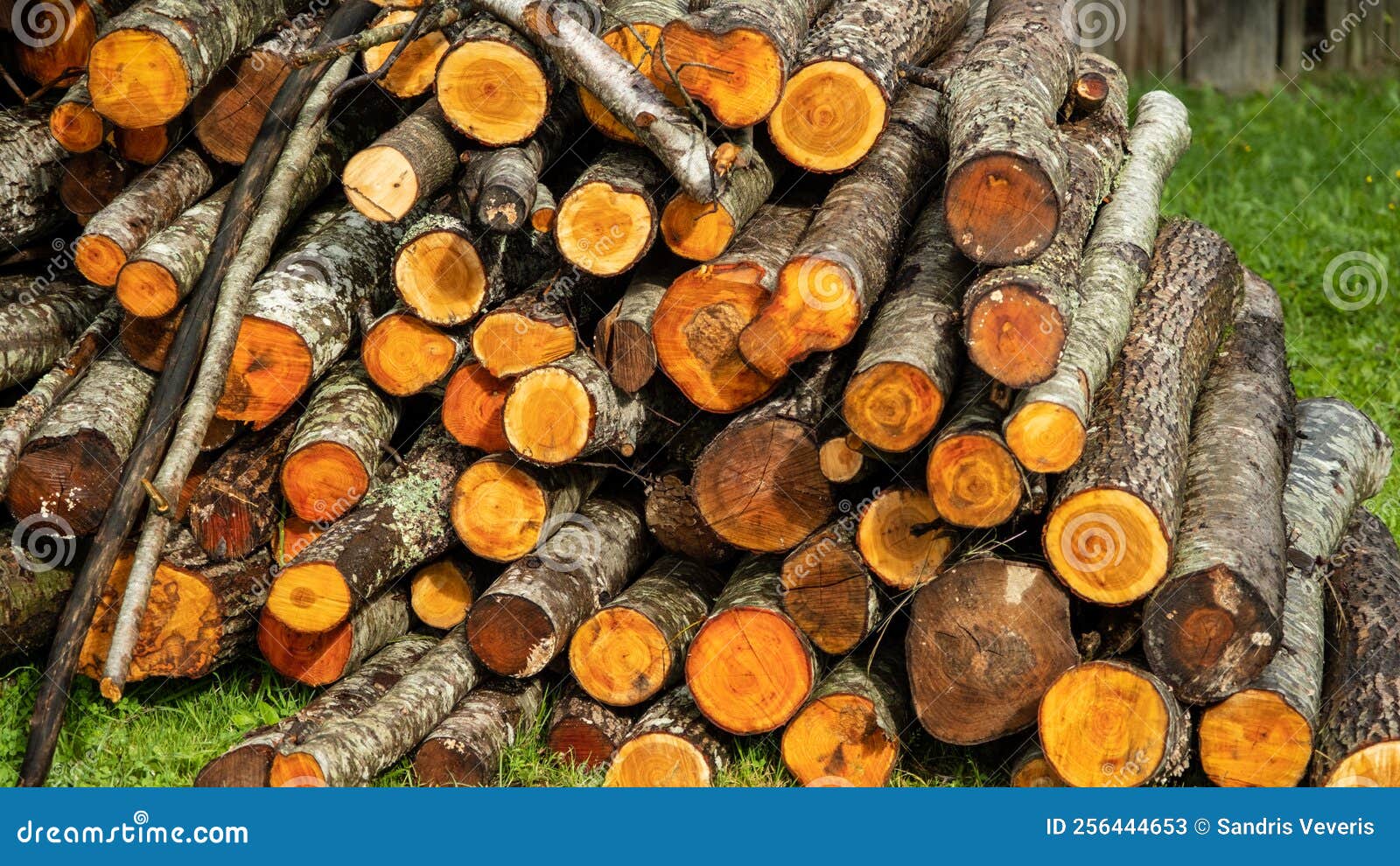Pile of Timber, Felled Trees. Stacked in a Pile Stock Image - Image of ...
