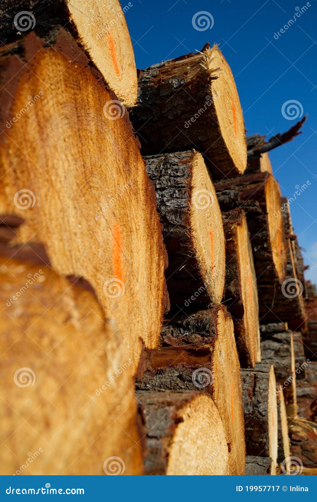Pile of Timber Logs from Logging Stock Image - Image of hardwood ...