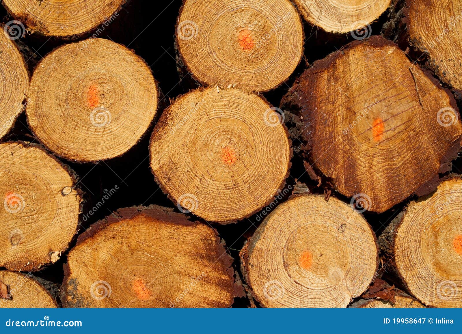 Pile of Timber Logs from Logging Stock Image - Image of forest, brown ...