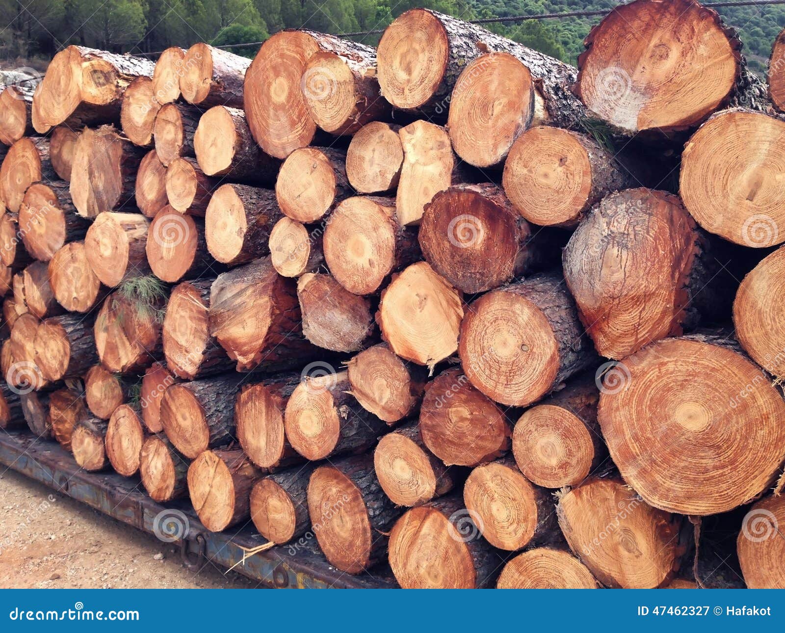 Pile of Timber Ready for Shipment Stock Image - Image of firewood, fire ...