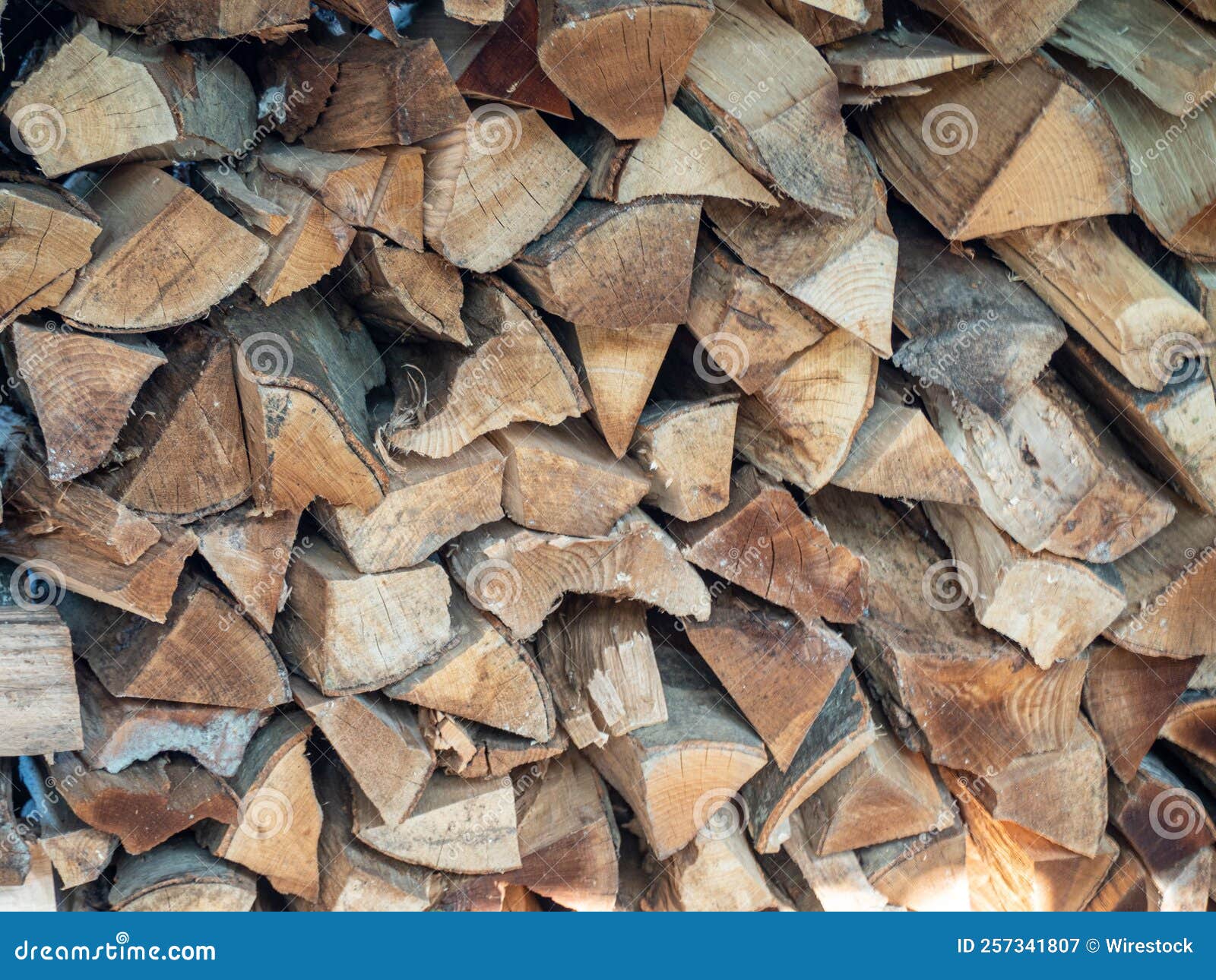 Pile of Timber Softwood Logs Under Sunlight Stock Image - Image of ...