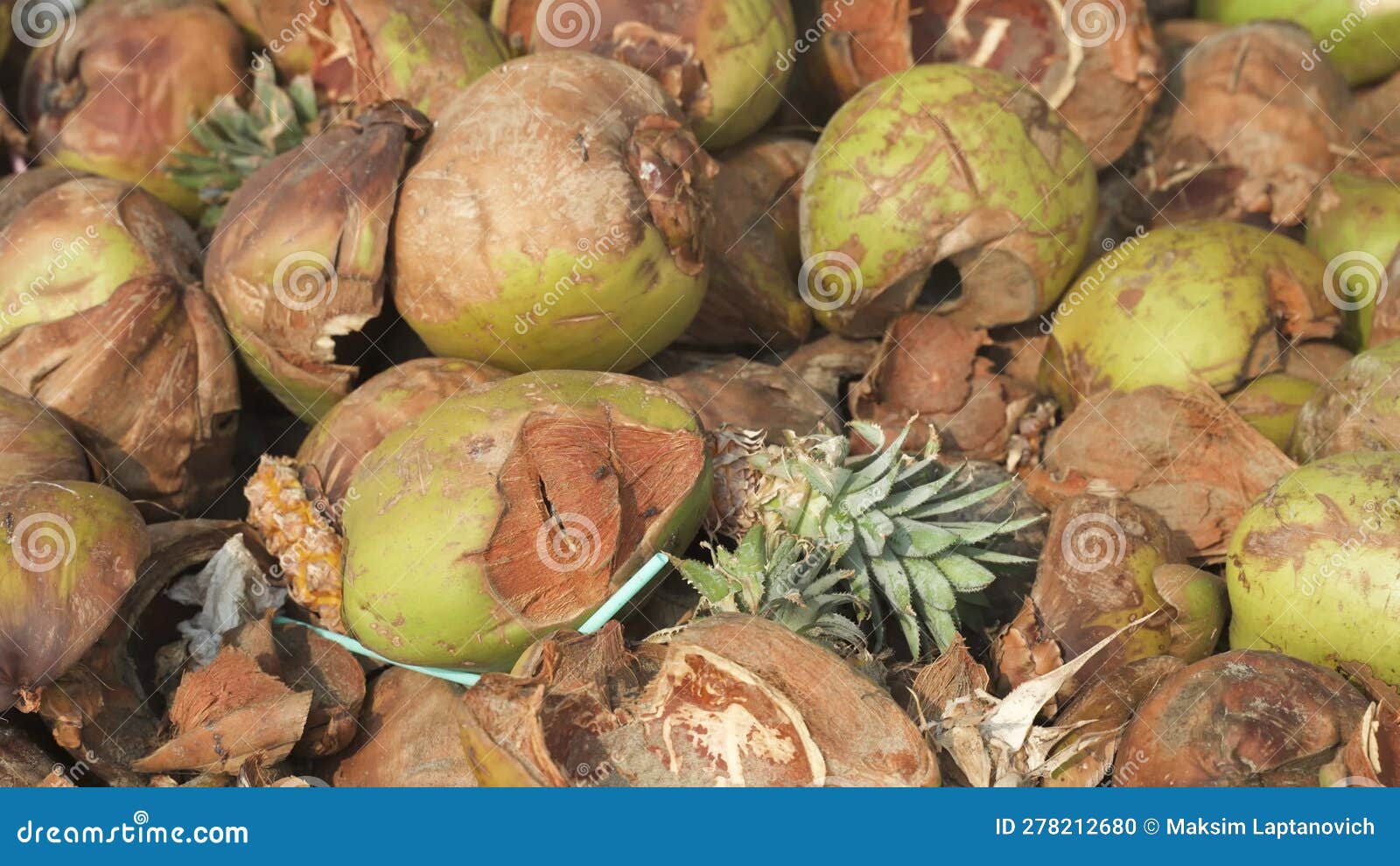 Pile of Trash Consisting of Empty Drinking Coconuts with Plastic Straws ...