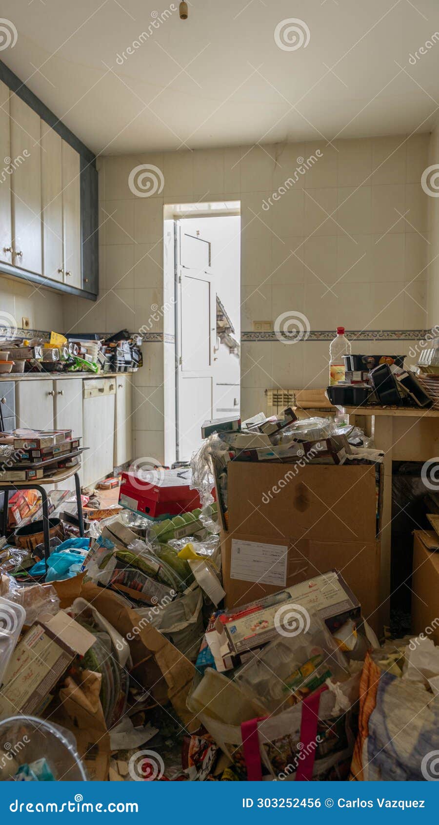 Trash in the kitchen editorial photo. Image of neglect - 303252456