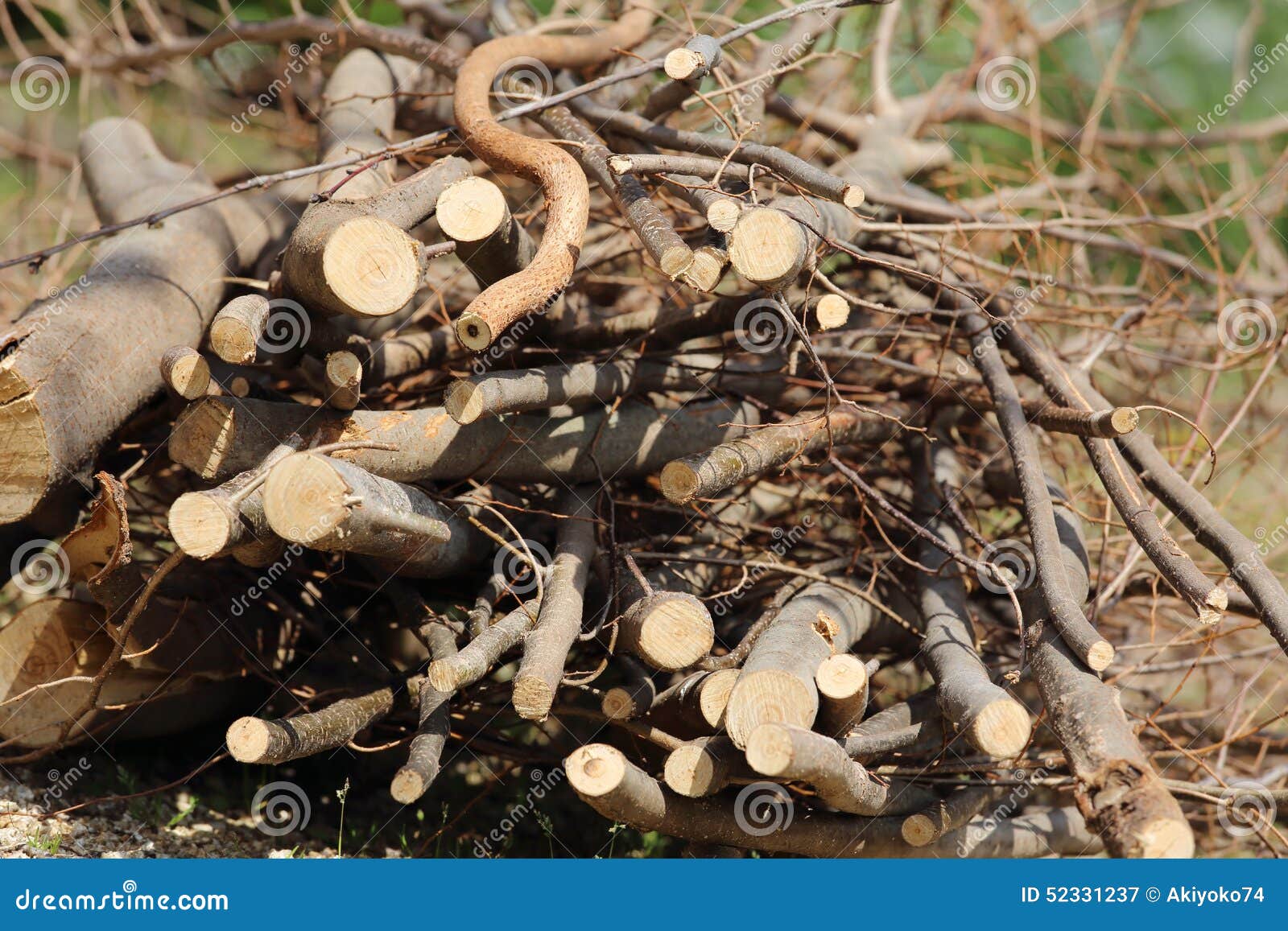 Pile Of Tree Trunks. For Interesting Background Images And Textures ...