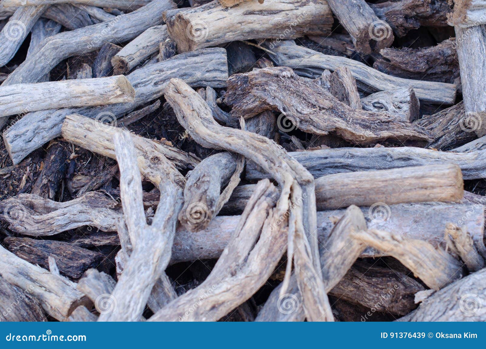 Pile of Tree Branches Composition Stock Image - Image of pile, nature ...