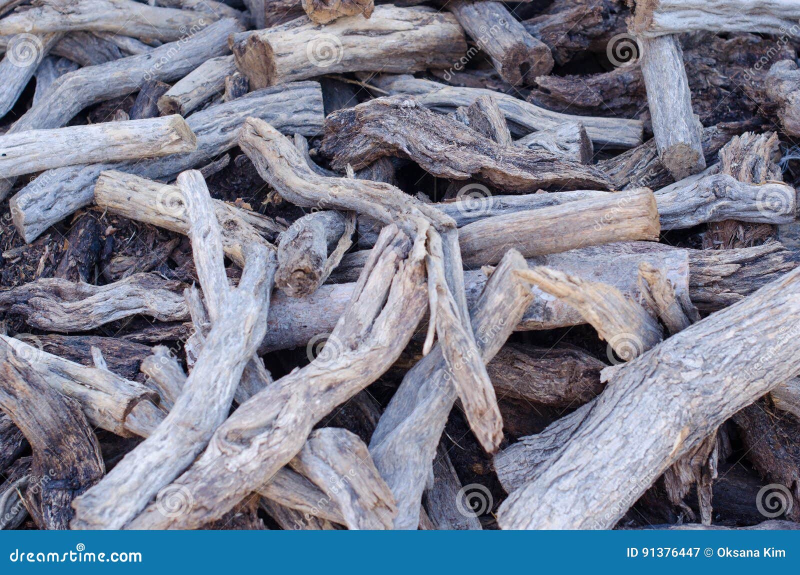 Pile of Tree Branches Composition Stock Image - Image of logs, plant ...