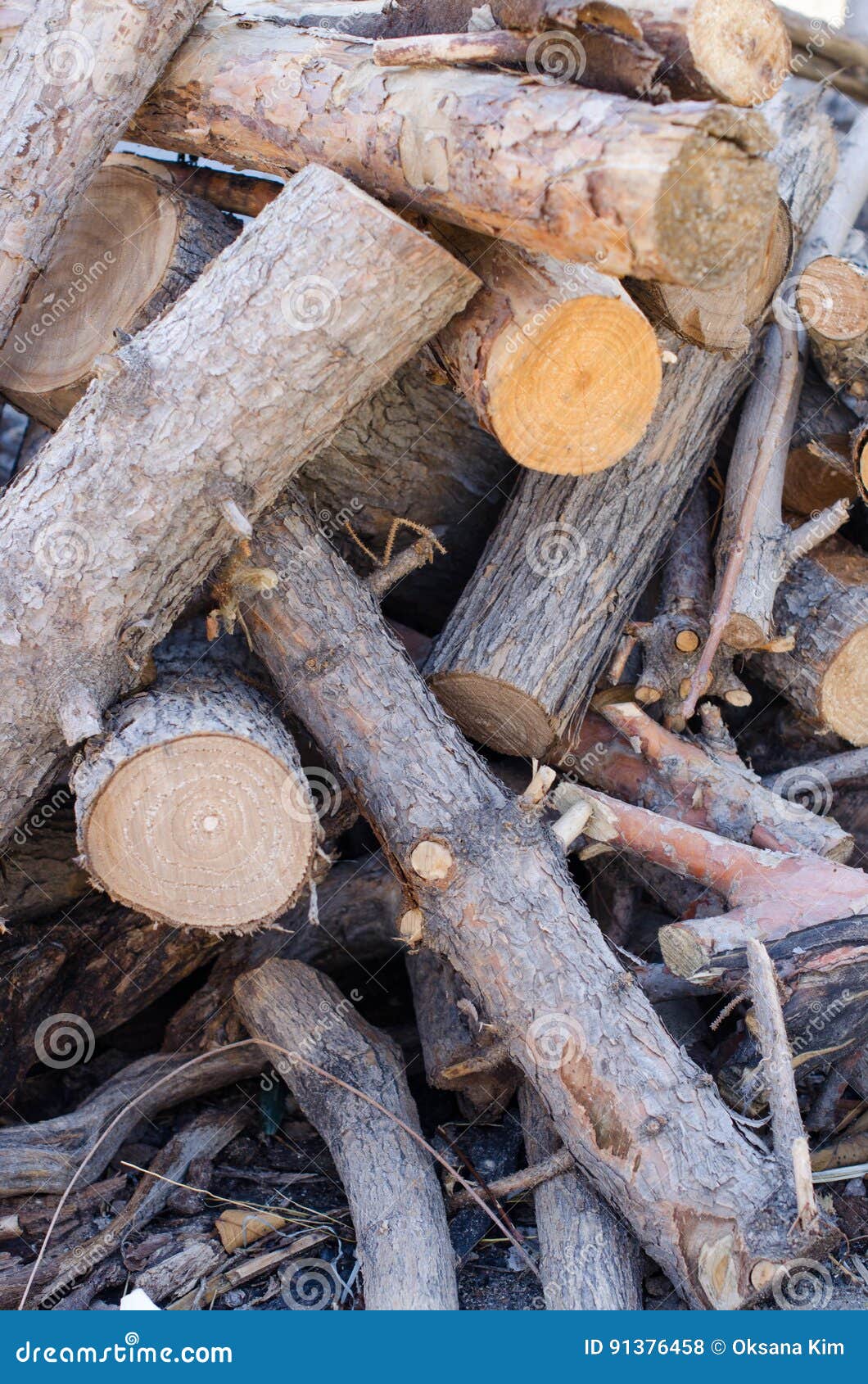 Pile of Tree Branches Composition Stock Photo - Image of branches ...