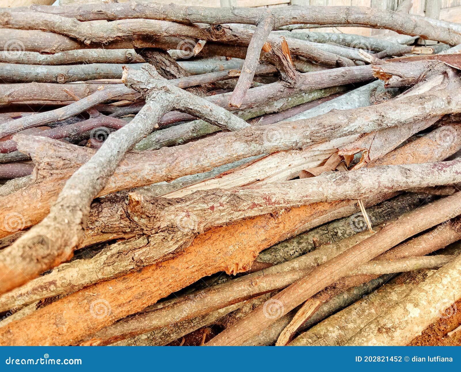 Pile of tree branches stock photo. Image of ancient - 202821452