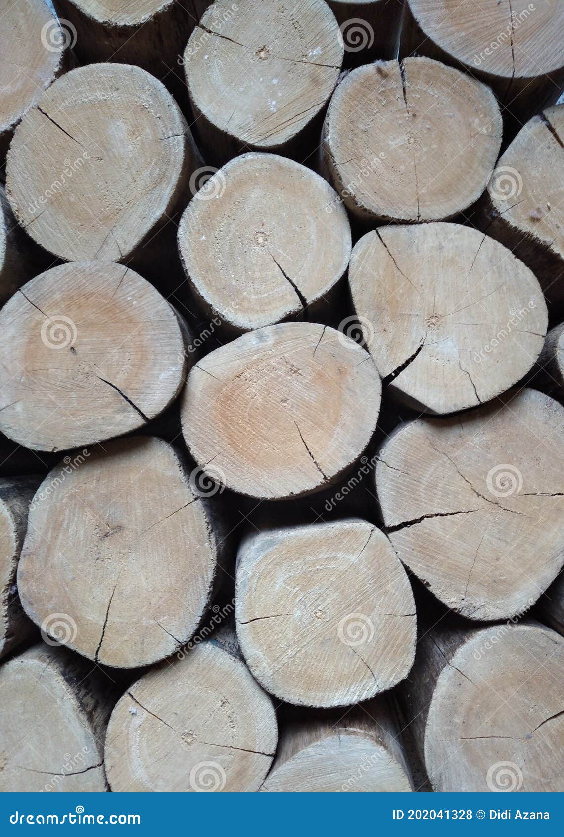 Pile Tree Cutting Look Natural Stock Photo - Image of background, tree ...