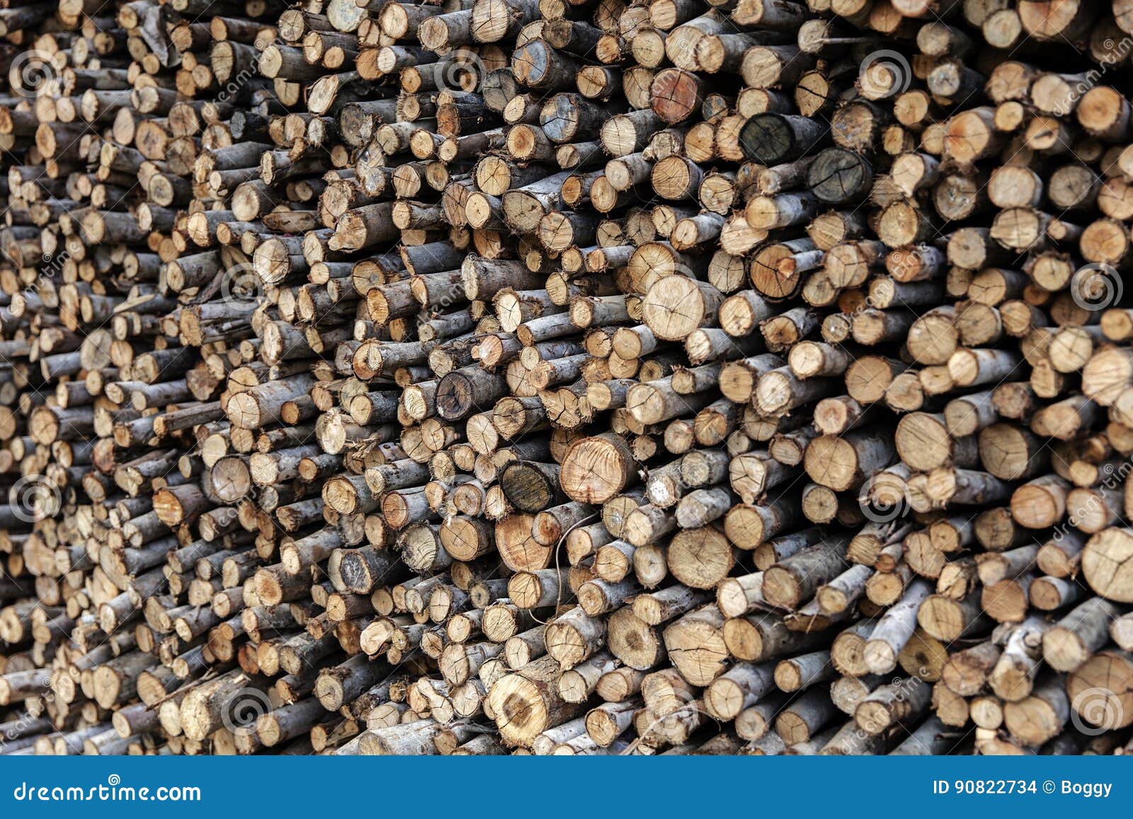 Pile of tree logs stock photo. Image of tree, material - 90822734