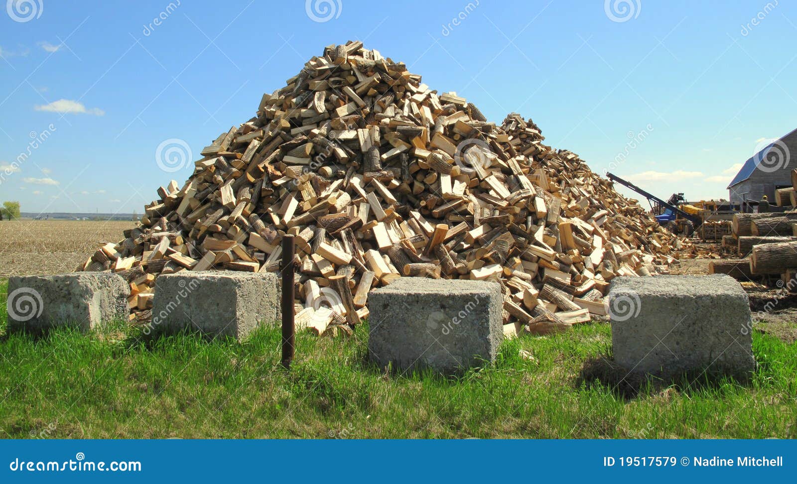 Pile of Tree Logs in Pyramid Shape Stock Image - Image of firewood ...