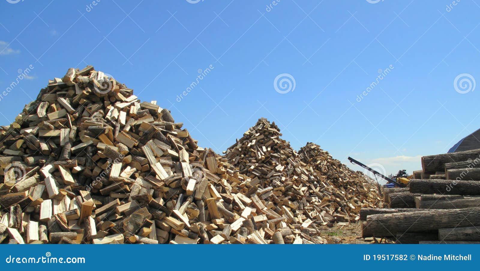 Pile of Tree Logs in Pyramid Shape Stock Photo - Image of lumber, fuel ...