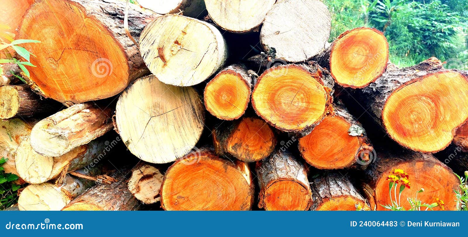 Pile of tree pieces stock image. Image of soil, branch - 240064483