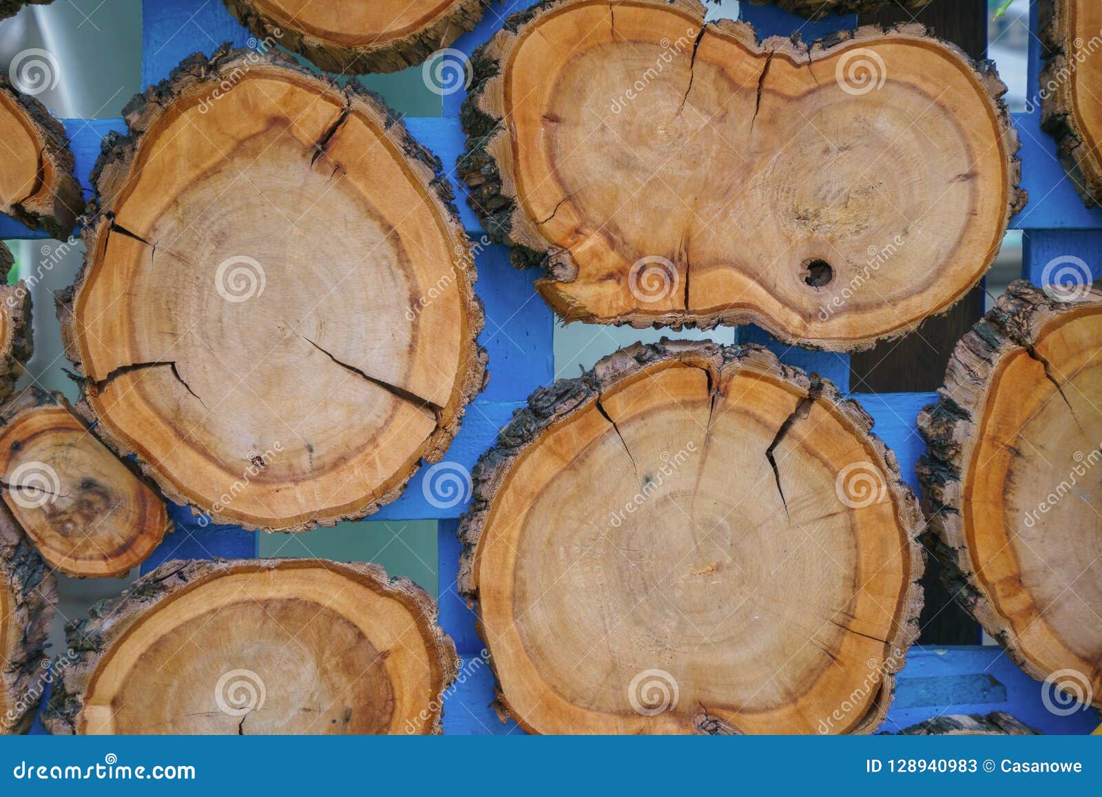 Tree Stumps Royalty-Free Stock Image | CartoonDealer.com #4695964