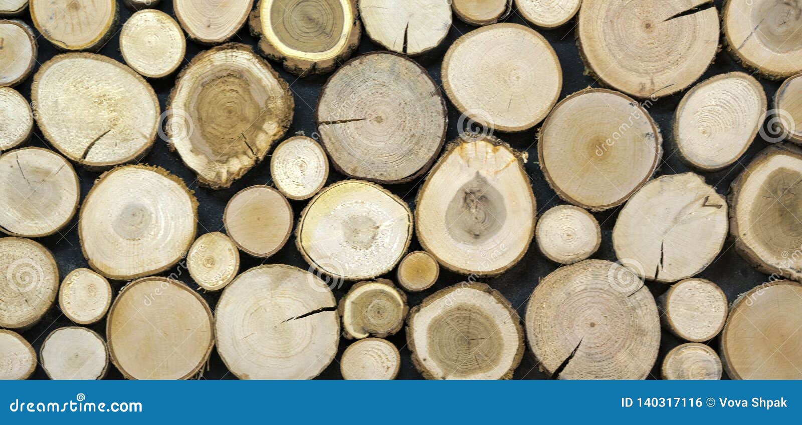 Pile of Tree Stumps, Woods Structure Stock Photo - Image of outdoors ...