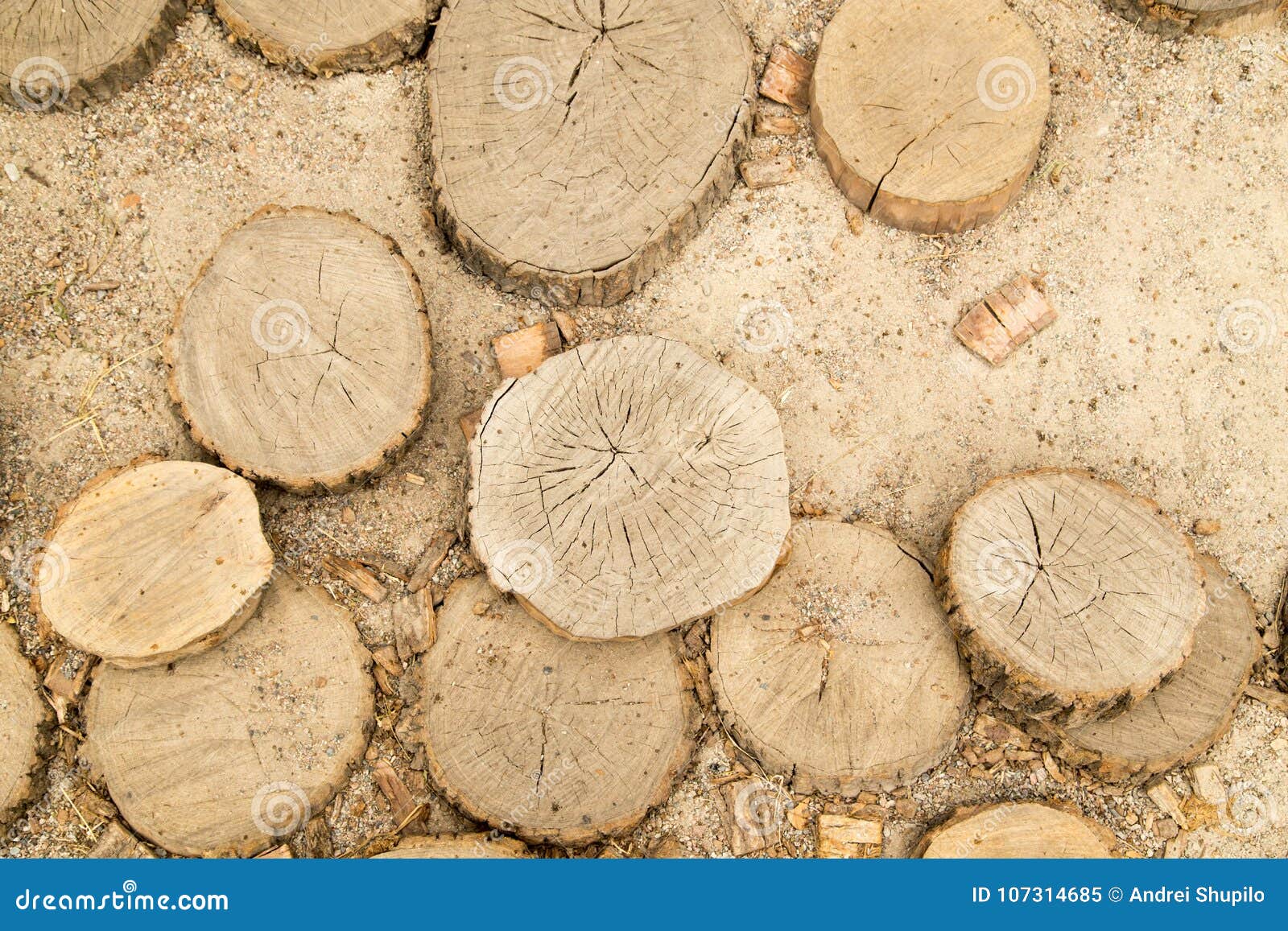 Pile of Tree Stumps, Woods Structure Stock Image - Image of industry ...