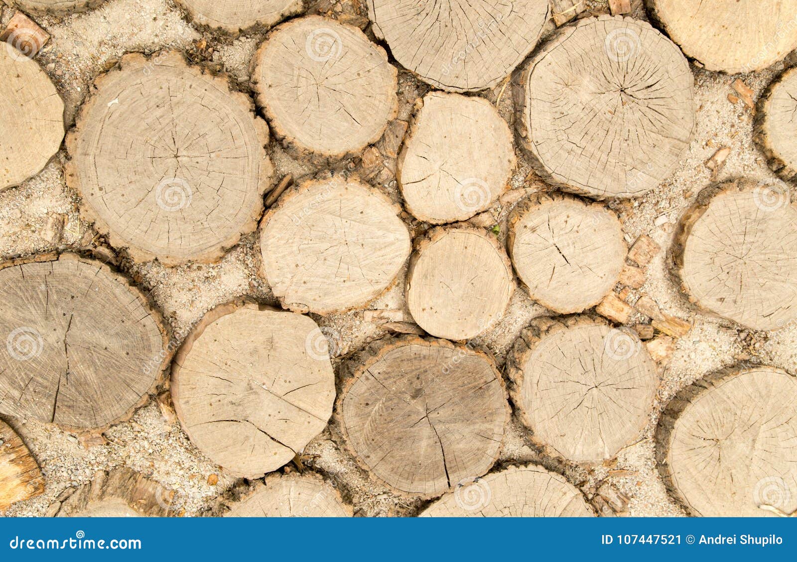 Pile of Tree Stumps, Woods Structure Stock Image - Image of detail ...