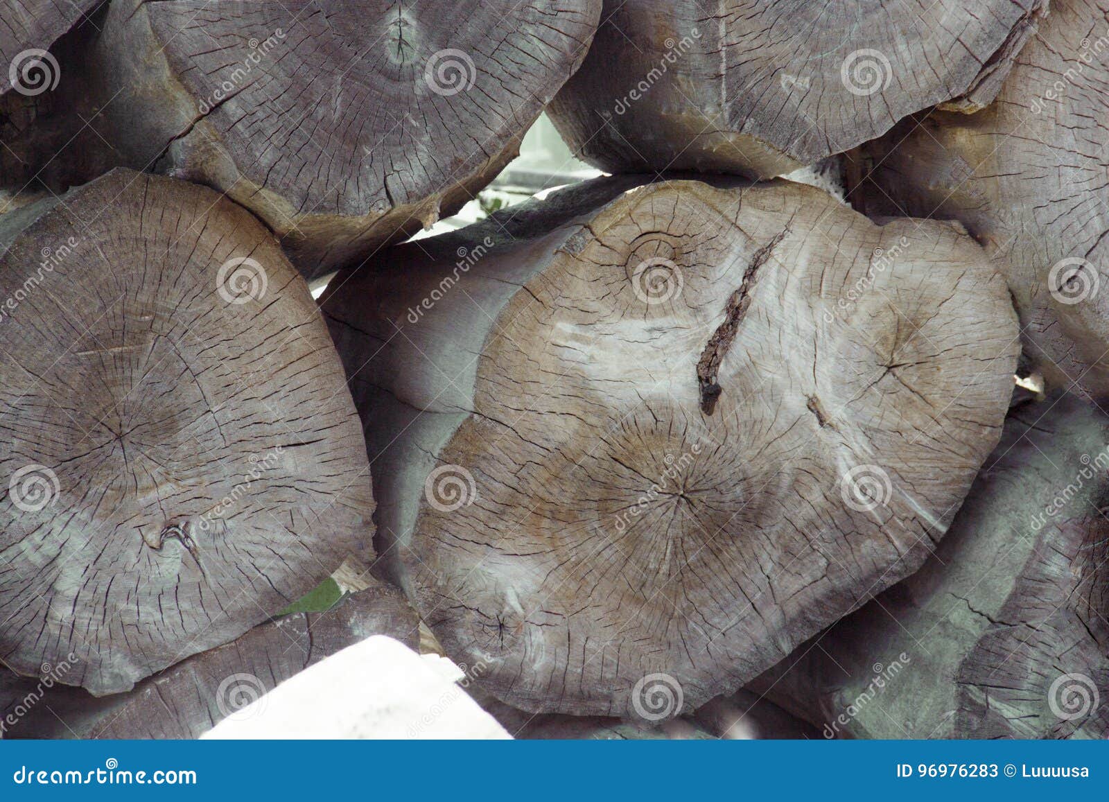 Pile of Tree Stumps, Woods Structure. the Spears of Huge Trees are ...