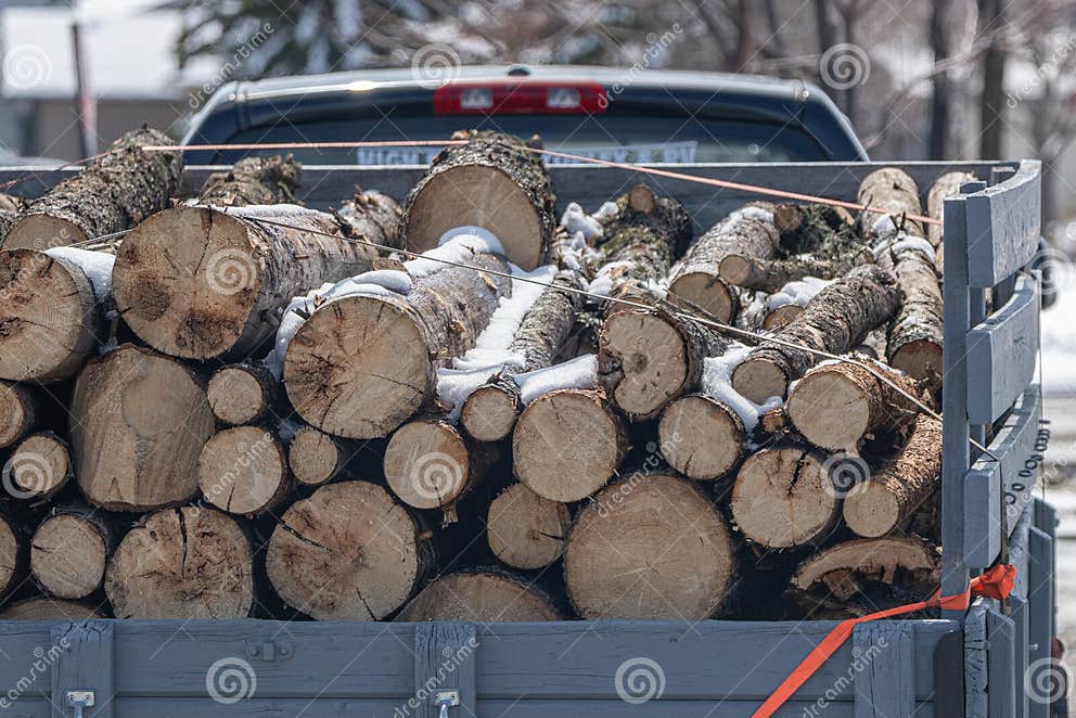 Pile of Tree Trunks and Branches for Firewood on Pickup Bed Stock Photo ...