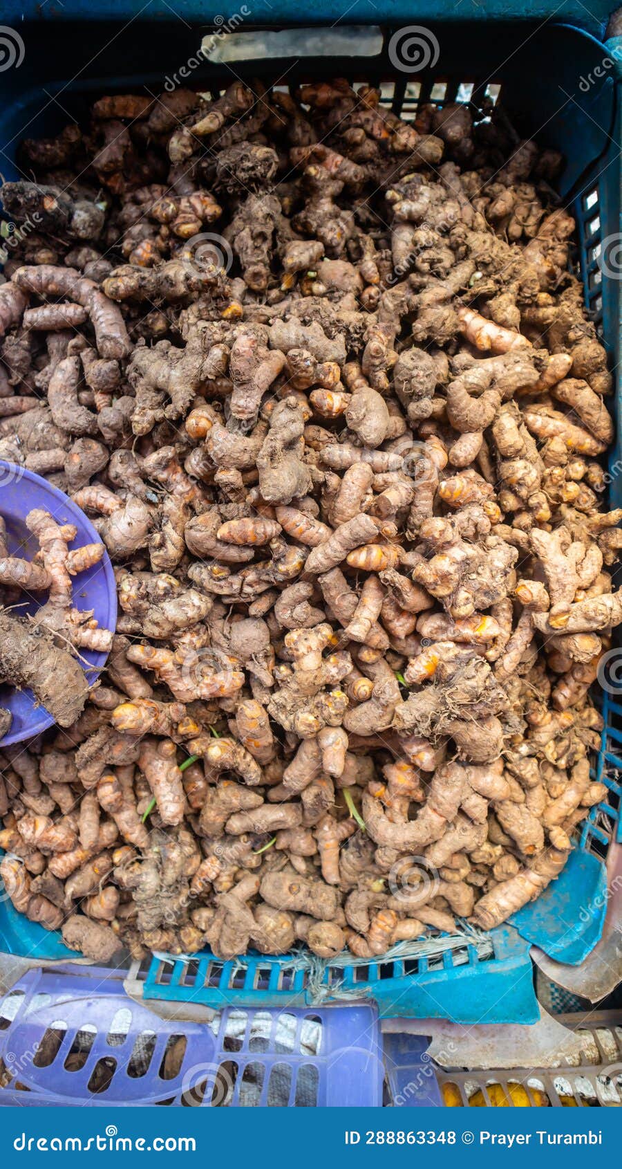 Pile of Turmeric in a Traditional Market Stock Photo - Image of favor ...