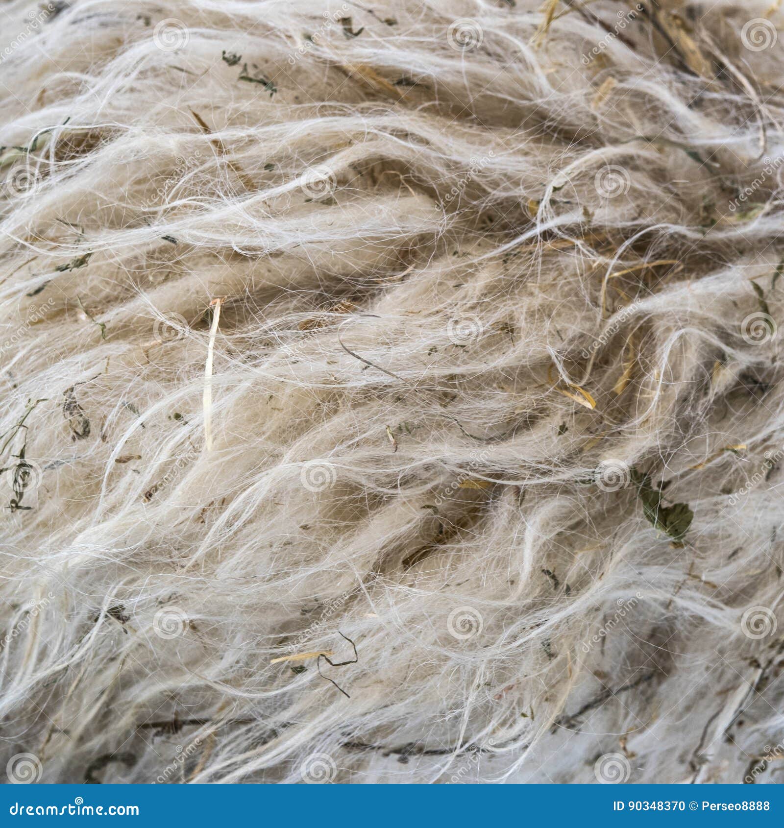 Pile of Unprocessed High Quality New Zealand Wool. Stock Photo - Image ...