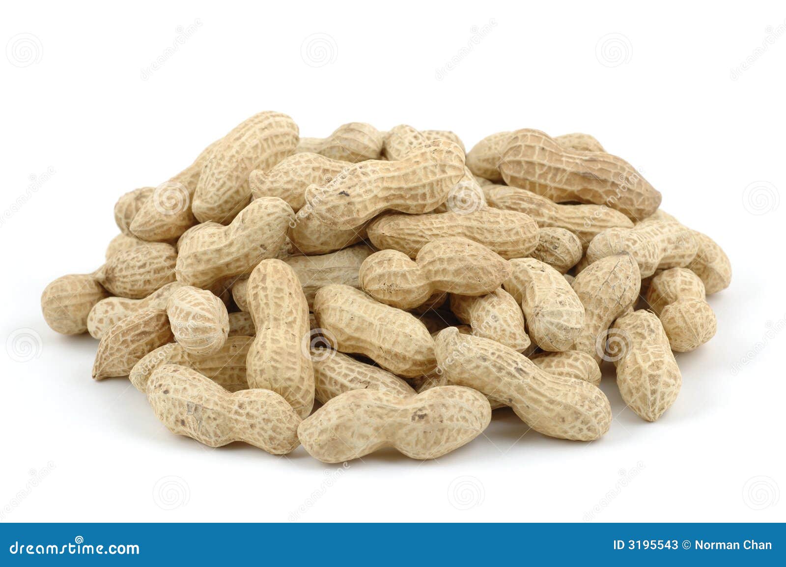 Pile of unshelled peanuts stock image. Image of shell - 3195543