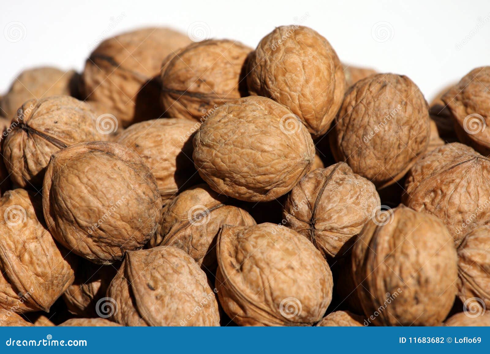 Pile of walnuts stock photo. Image of hard, heap, pile - 11683682