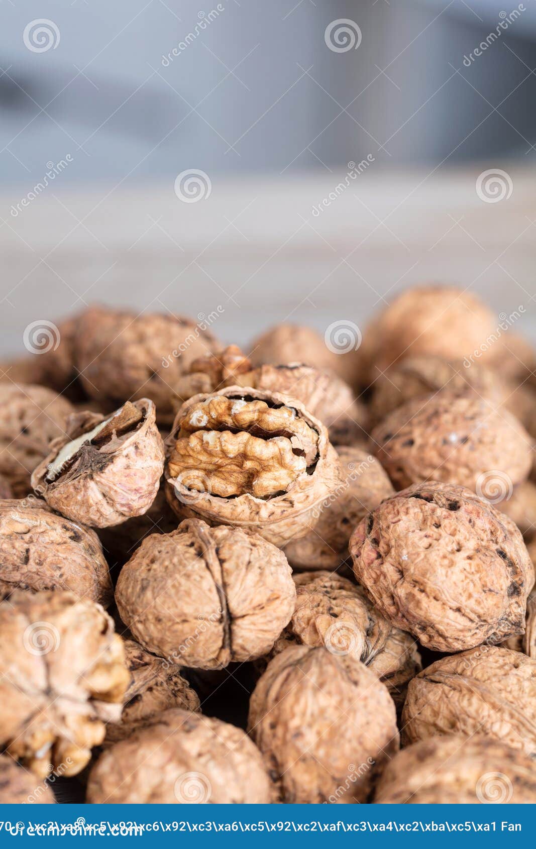 A pile of walnuts close-up stock photo. Image of blank - 253716870