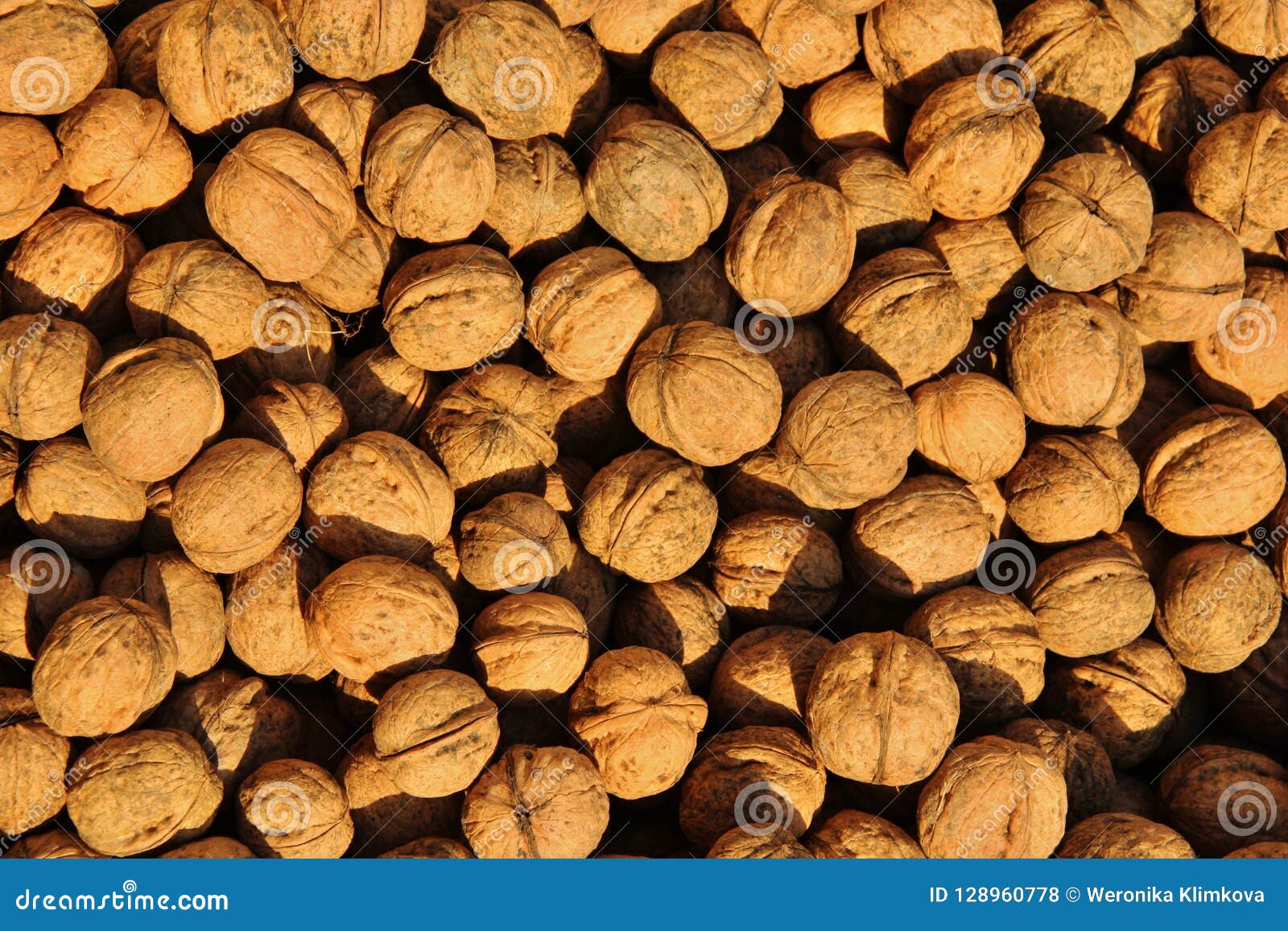Pile of walnuts stock photo. Image of texture, healthy - 128960778