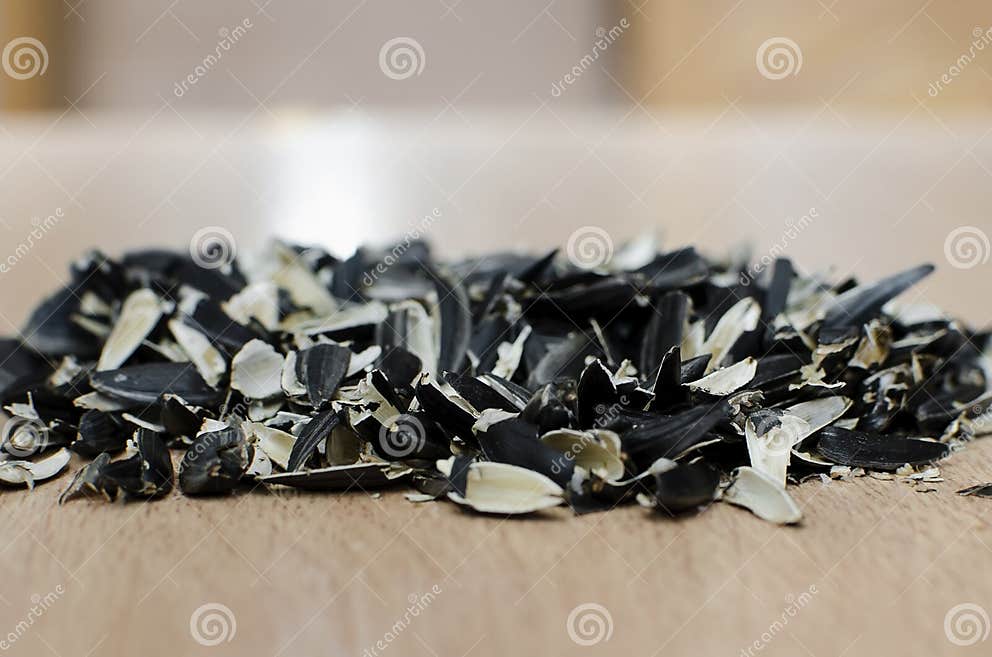 Pile of Waste from Seeds on a Neutral Background Stock Image - Image of ...