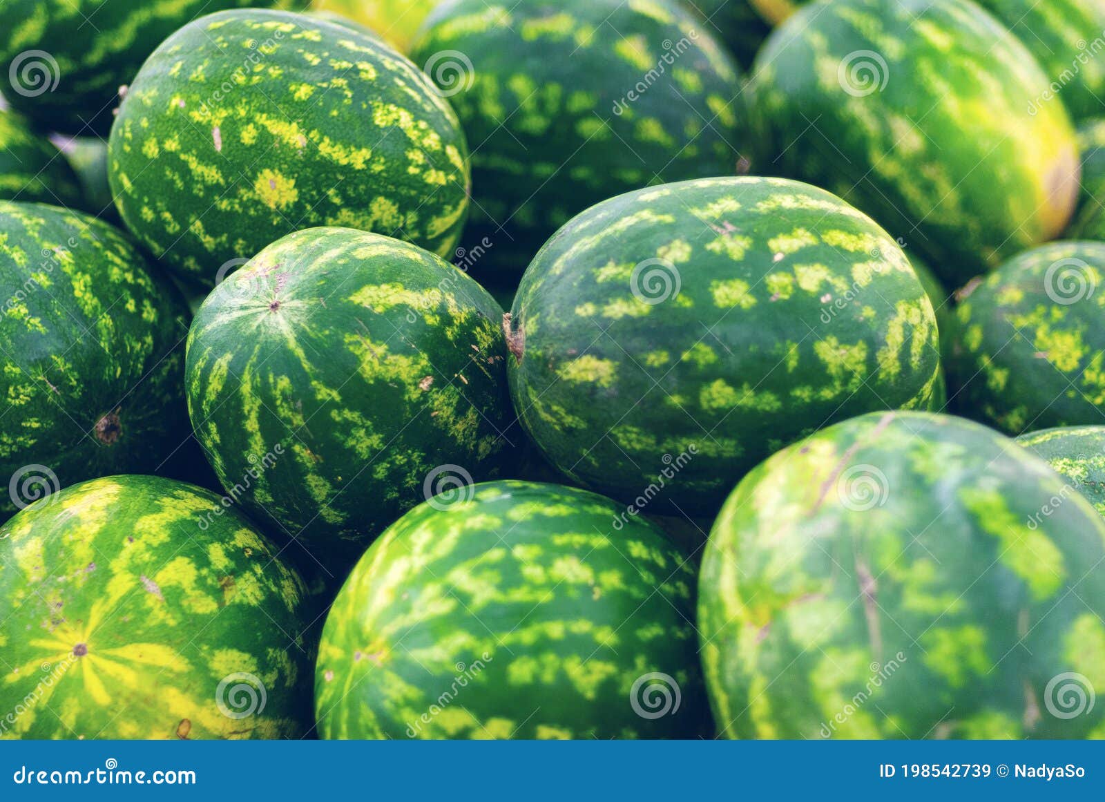 Pile of Watermelons in Grocery Store Stock Image - Image of selective ...