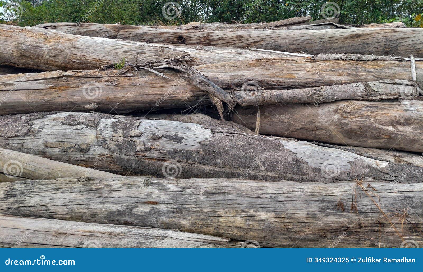 Pile of Weathered Logging Wood. Stock Image - Image of commodity, rock ...