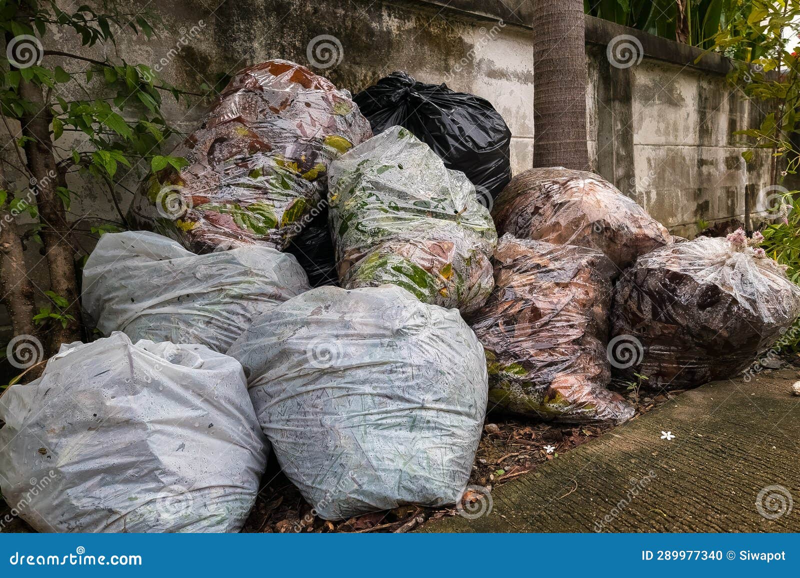 Pile of Wet Garbage Bags Filled with Decay Leaves Stock Photo - Image ...