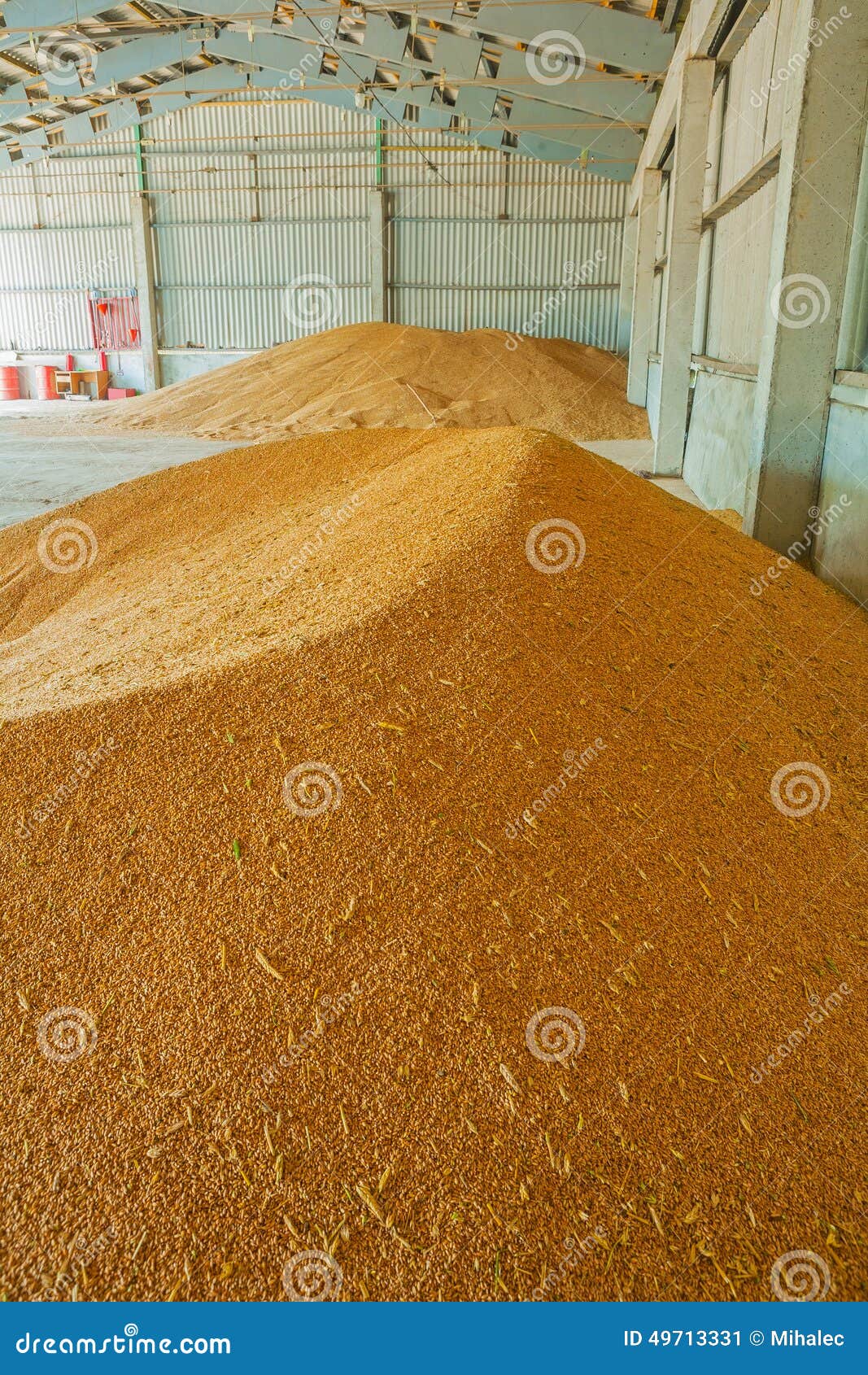 Pile of Wheat Corns in Warehouse Stock Image - Image of farm, abundance ...