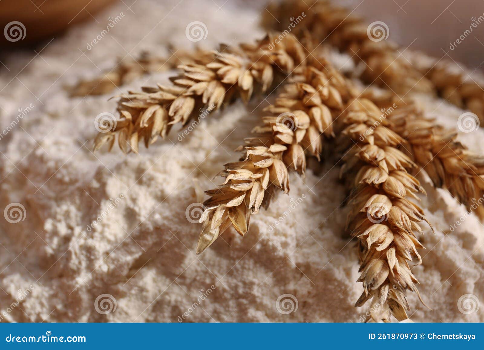 Pile of Wheat Flour and Spikes, Closeup View Stock Image - Image of ...