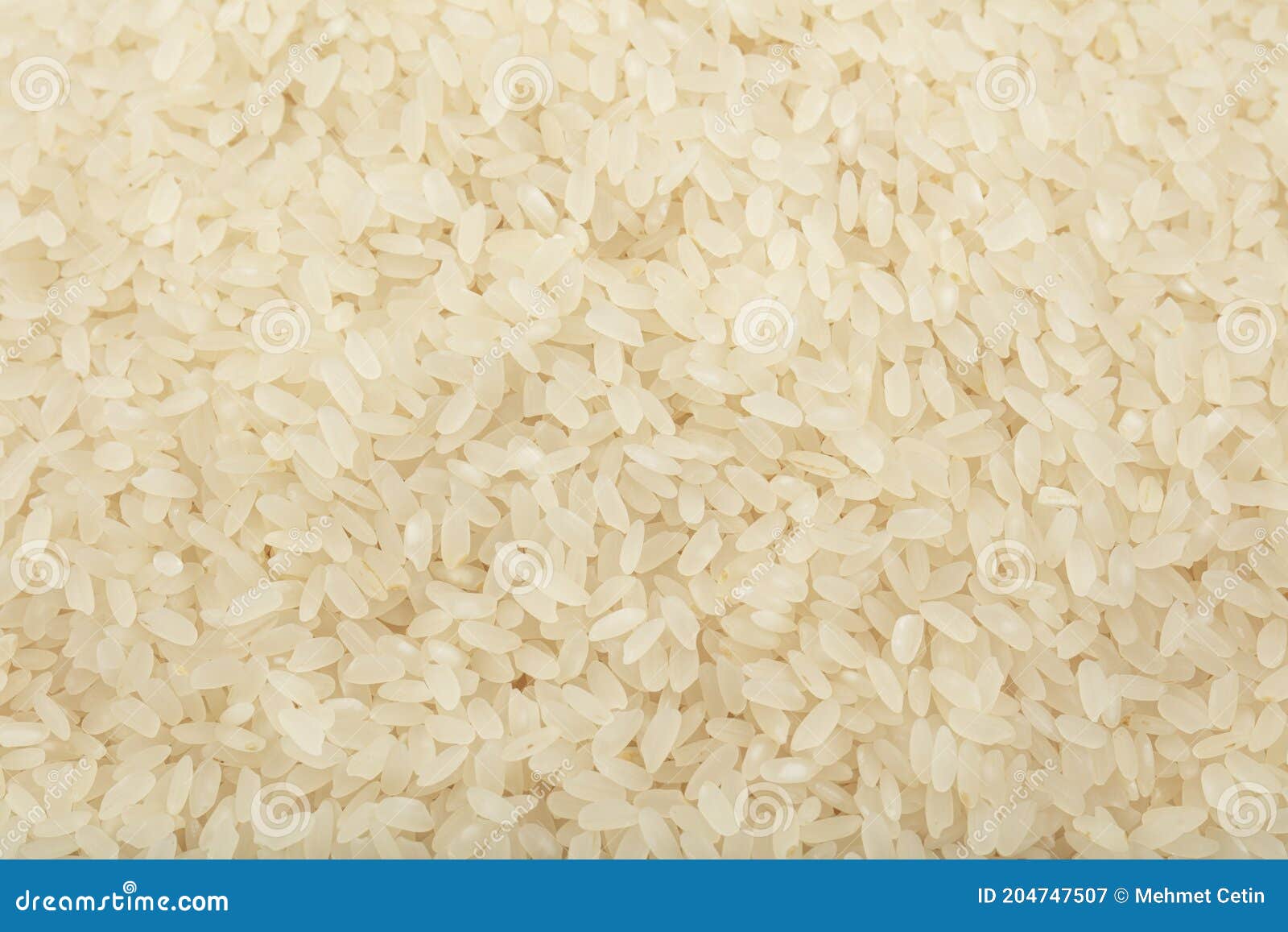 Pile of White Rice.Rice Grains Isolated on White Background. Top View ...