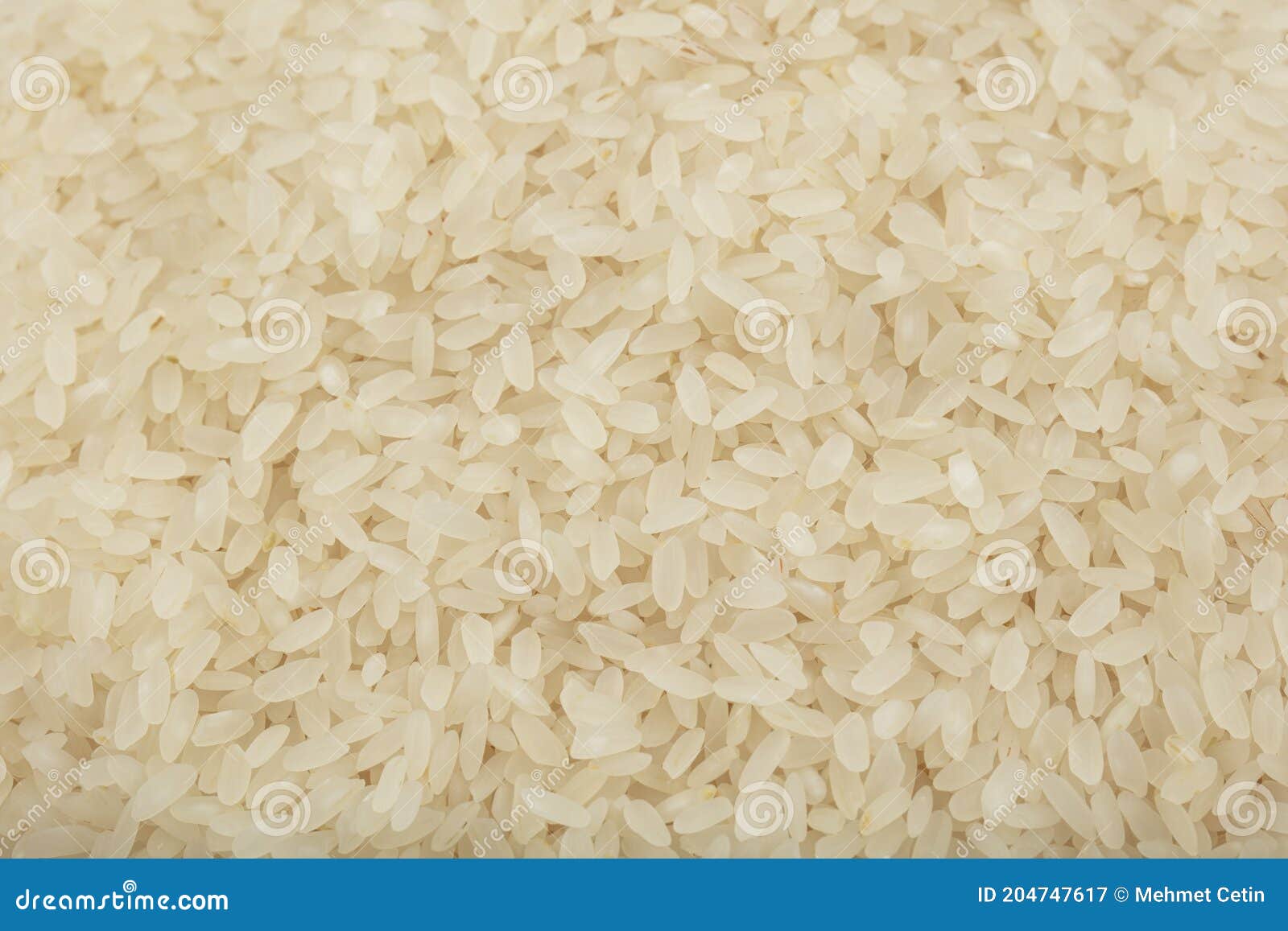 Pile of White Rice.Rice Grains Isolated on White Background. Top View ...