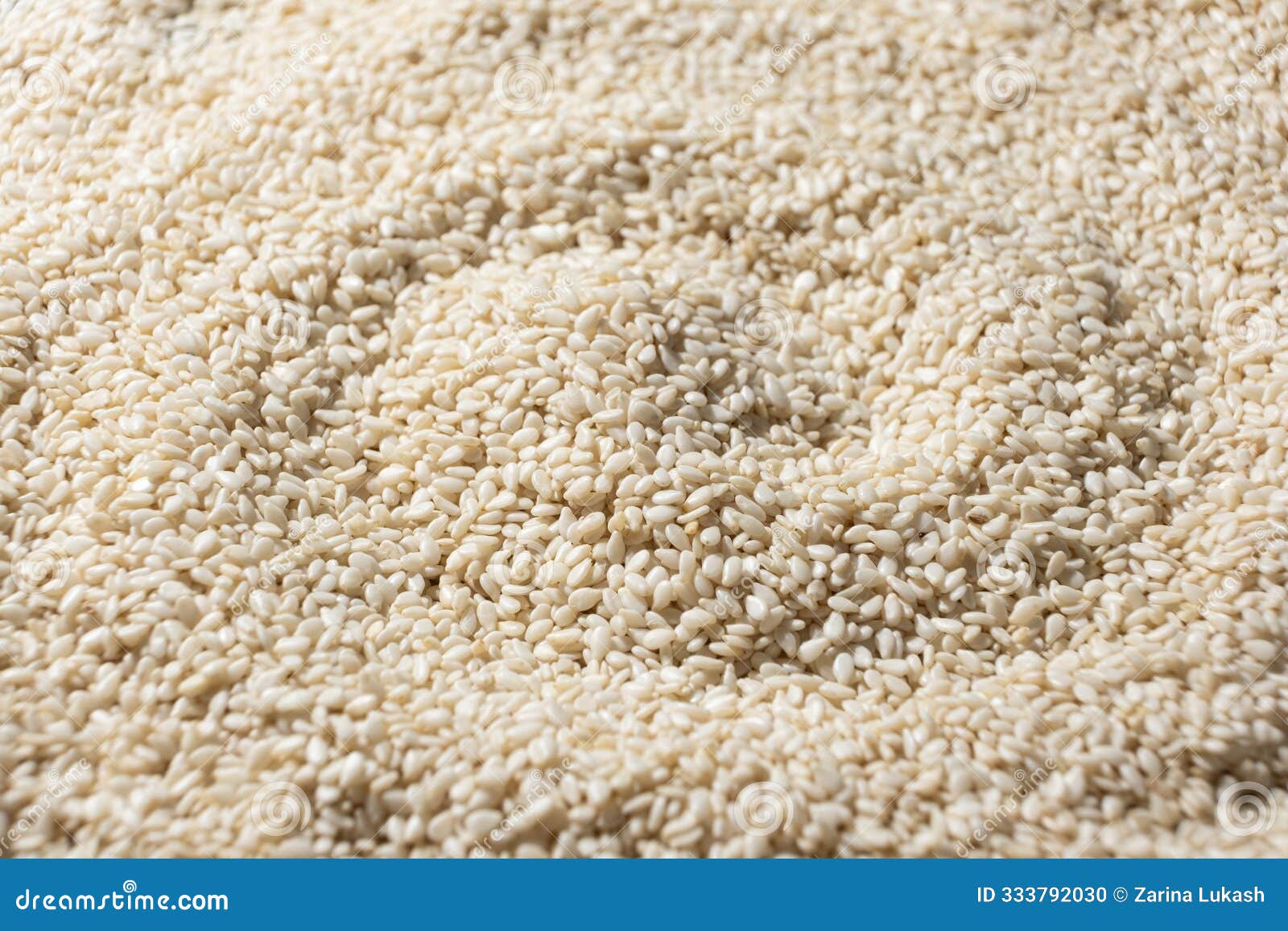 Pile of White Roasted Sesame Macro Side View Stock Photo - Image of ...