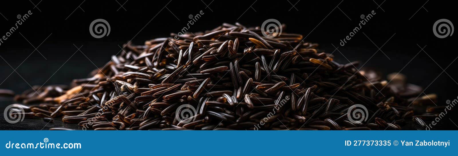Wild Rice Isolated On A White Background. Vector Illustration Of Black ...