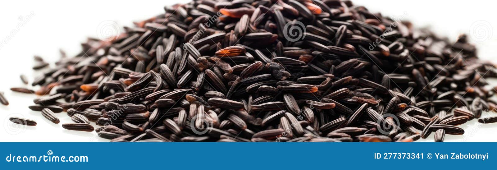 Wild Rice Isolated On A White Background. Vector Illustration Of Black ...