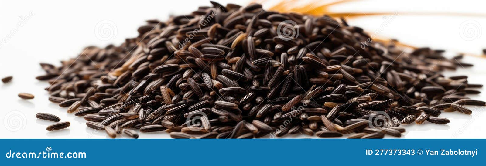 Wild Rice Isolated On A White Background. Vector Illustration Of Black ...