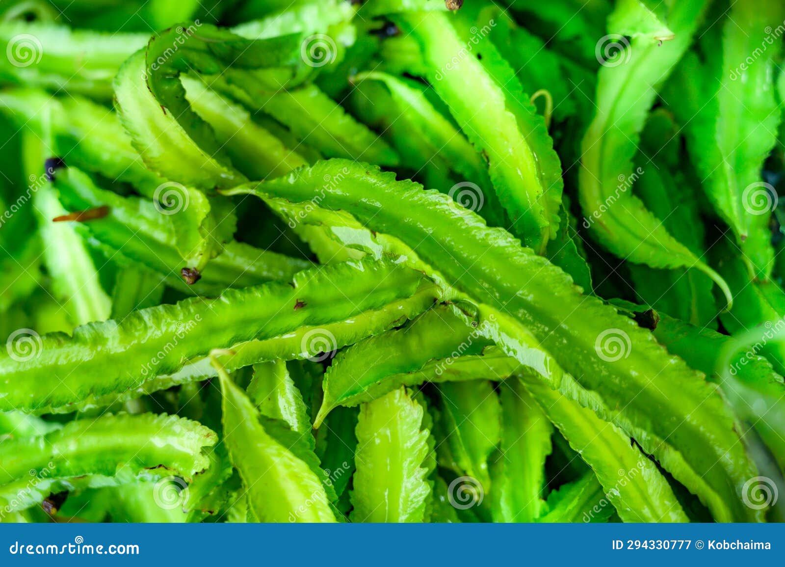 Beans Of A Winged Bean, Psophocarpus Tetragonolobus Royalty-Free Stock ...