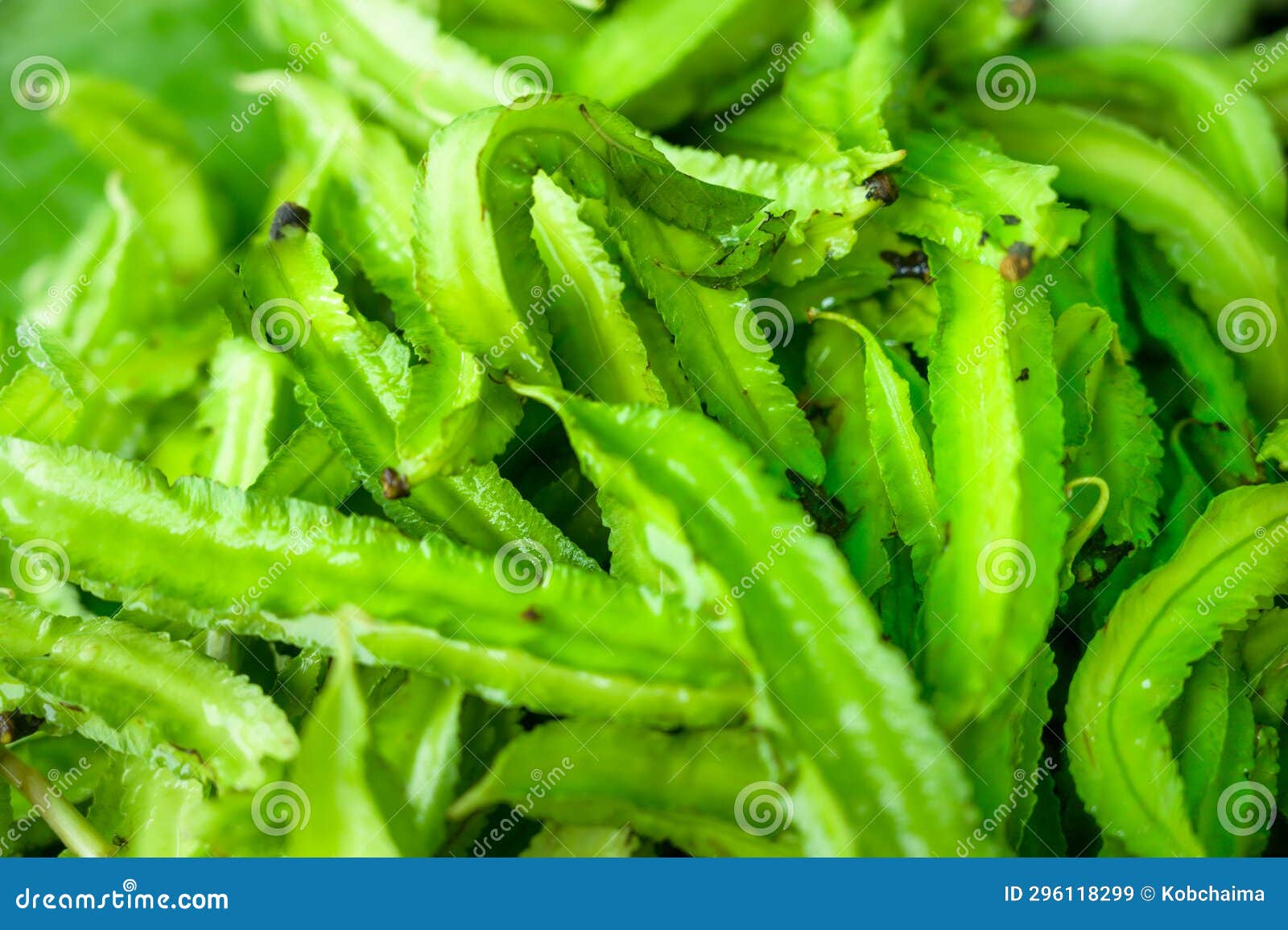 Beans Of A Winged Bean, Psophocarpus Tetragonolobus Royalty-Free Stock ...