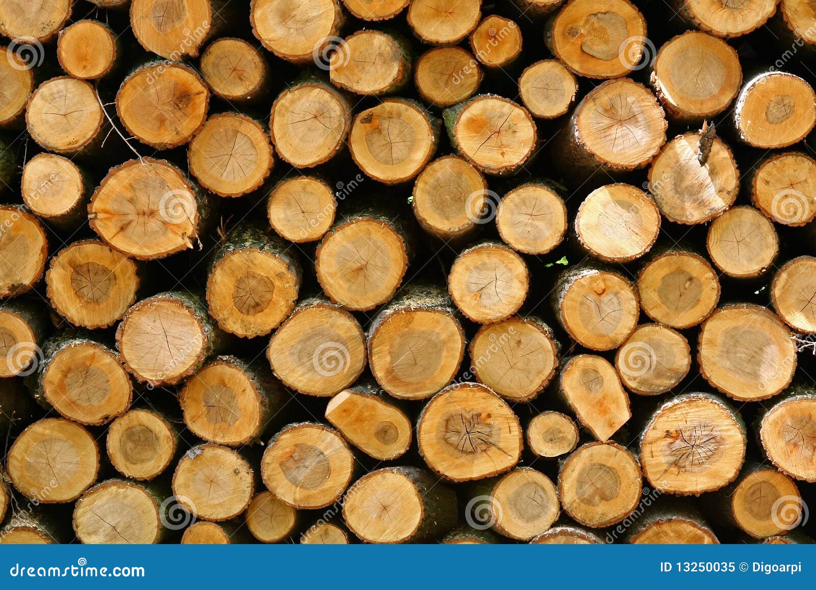 Pile of wood stock image. Image of grain, woodpile, wood - 13250035
