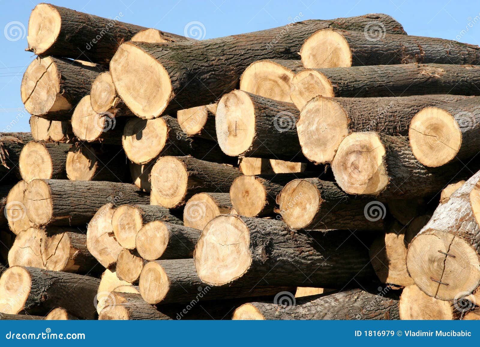 Pile of wood stock image. Image of mechanical, forestry - 1816979