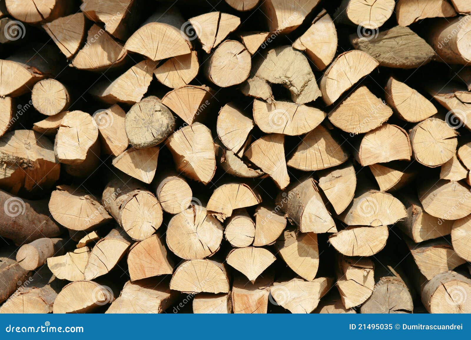 Pile of wood stock image. Image of thicket, woodland - 21495035